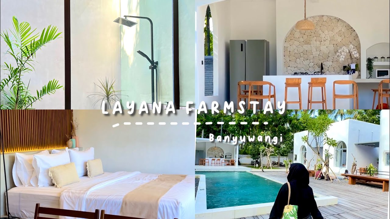 LAYANA FARMSTAY BANYUWANGI | Hotel Review Vlog - YouTube