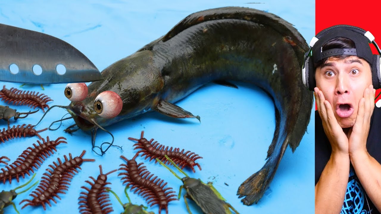 Stop Motion Asmr Lego Cooking - BiBimbap From Catfish Full of BUGS ...