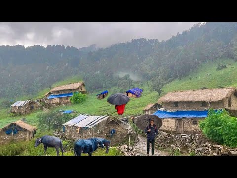 Simple The Best Himalayan Life| Poor But Happy Life in Nepali Nomadic| Primitive lifestyle ...