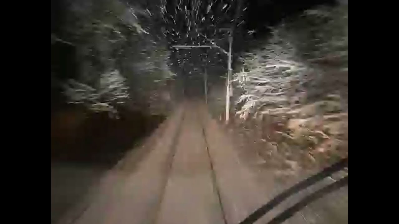 Deer get hit by a train 🥺🦌🚆 - YouTube