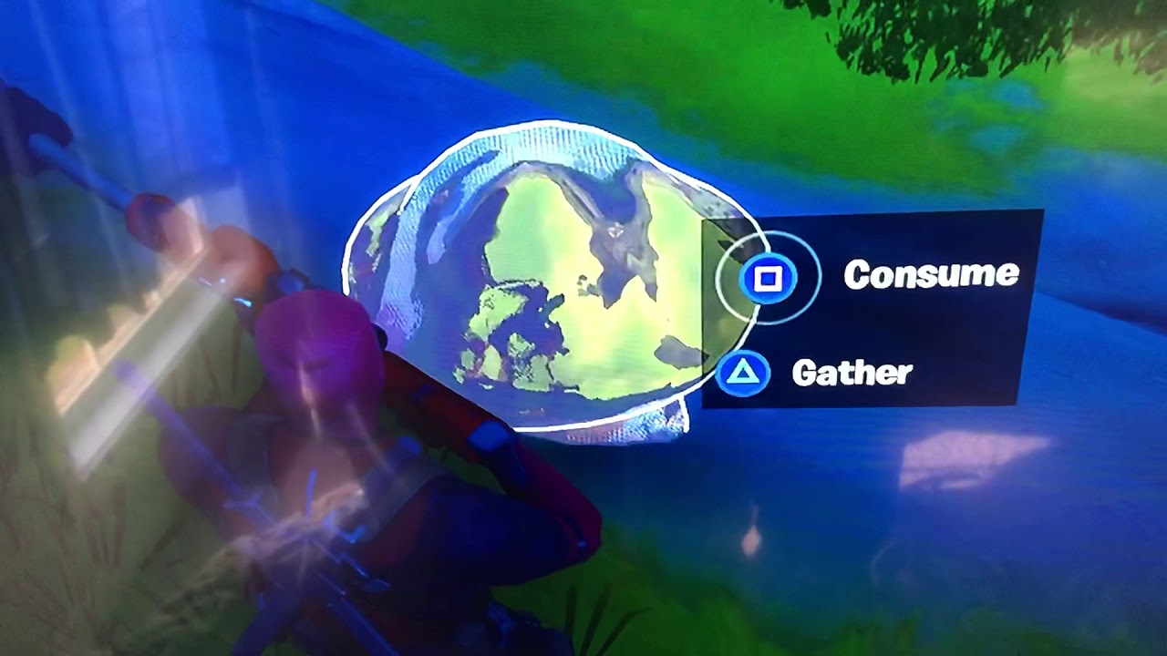 I found mythic mushroom in fortnite - YouTube