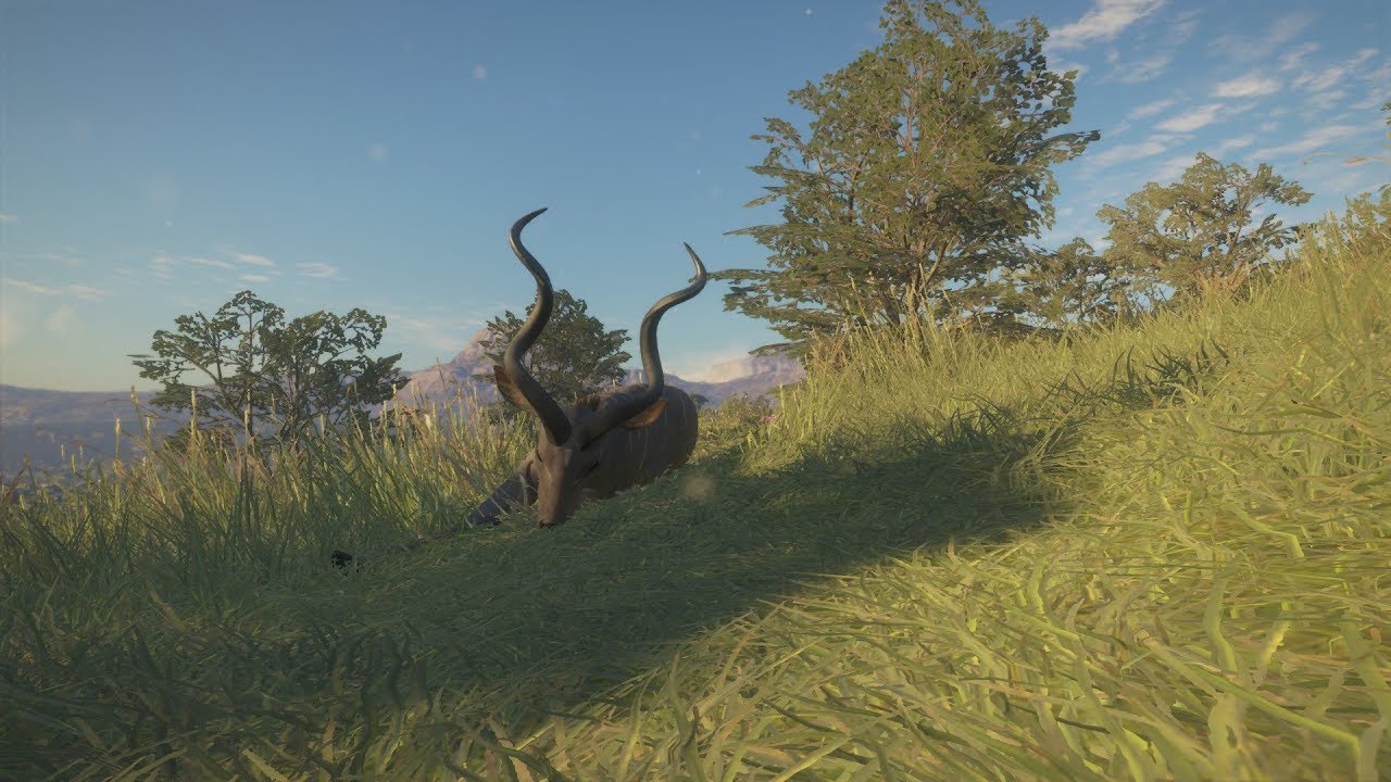 The Hunter COTW Multiplayer - YouTube