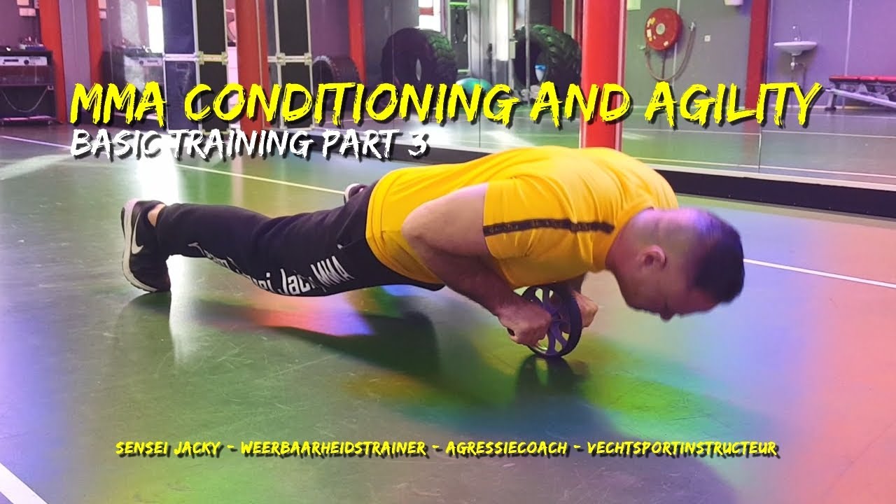 Evil Wheels Push Up Workout 🔥 Triceps Blast 💪🏼 Dynamic Power Plank ...