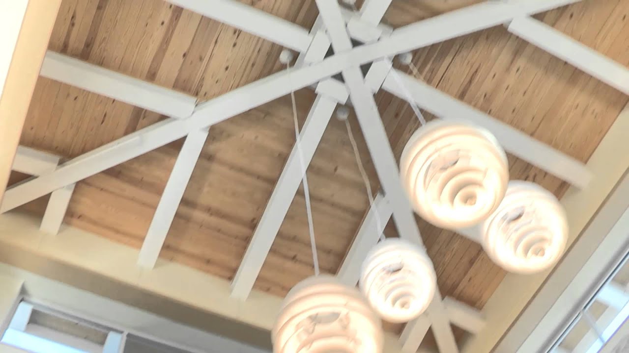 The Buzz: Haymarket Gainesville Library Ribbon Cutting - YouTube