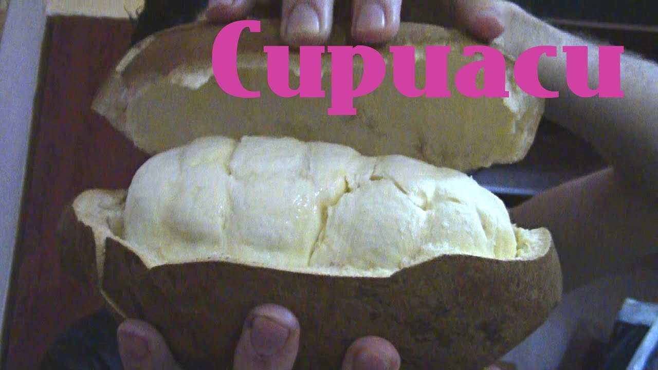 Cupuacu Review - Weird Fruit Explorer Ep. 210 - YouTube