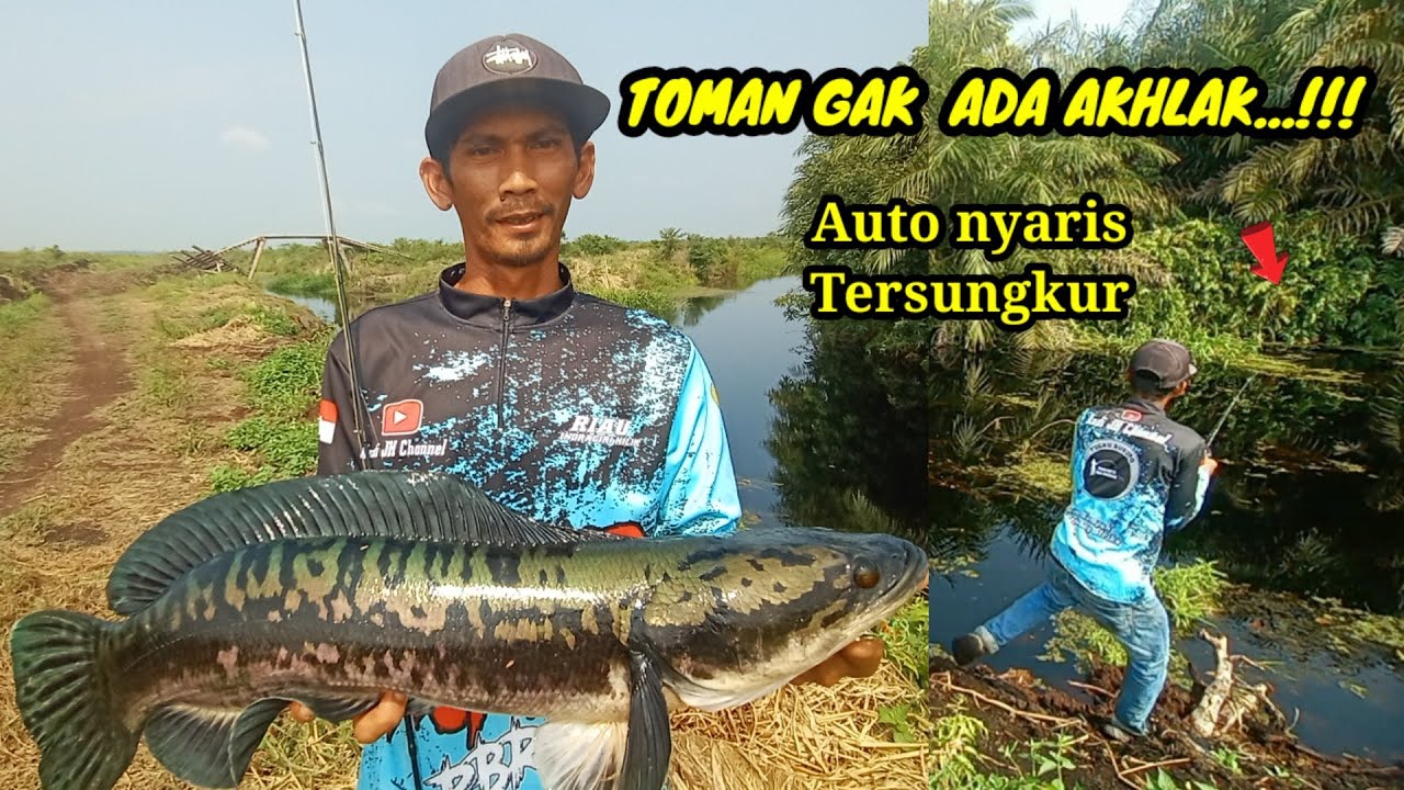 TOMAN MONSTER PENGHUNI SIMPANG TIGA - YouTube
