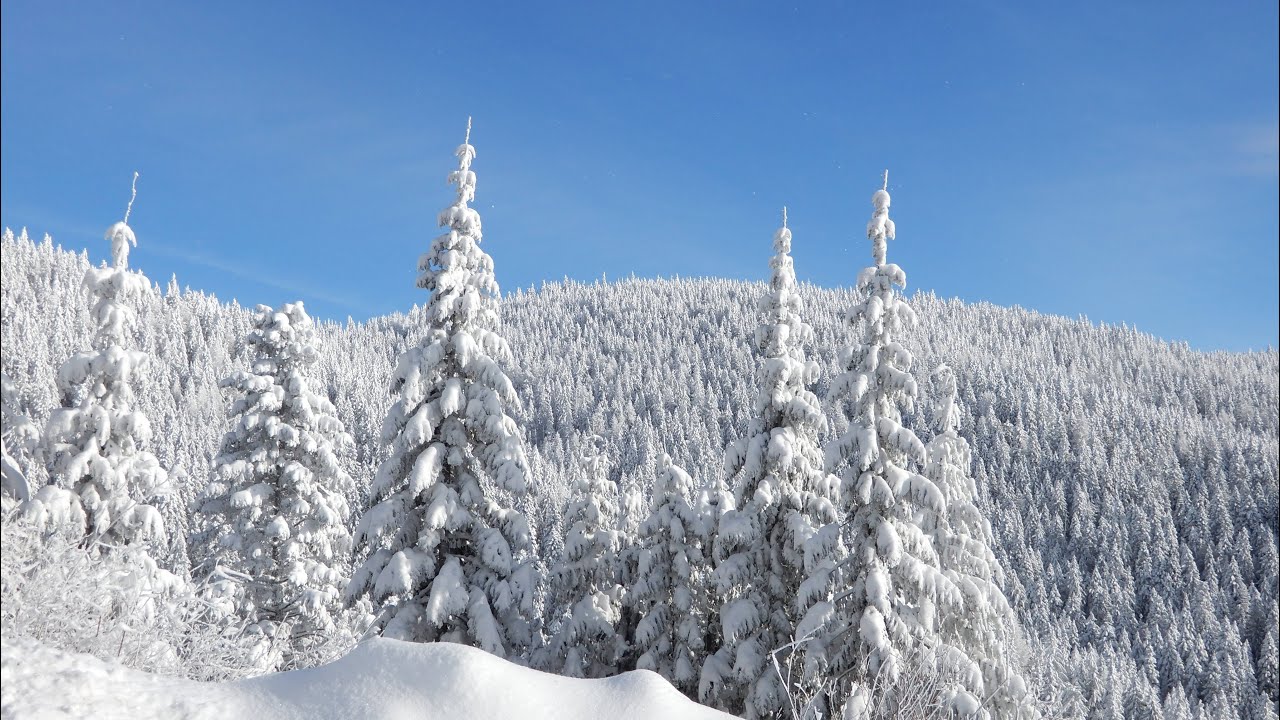 Mt. Spokane Winter Wonderland 2020 - YouTube