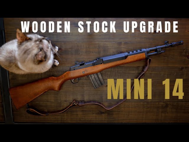 Tapco Mini 14 Mag Gen 2