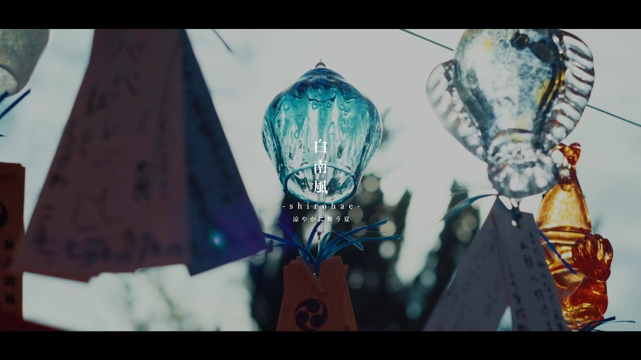 白南風 - shirohae - 涼やかに舞う夏 - YouTube