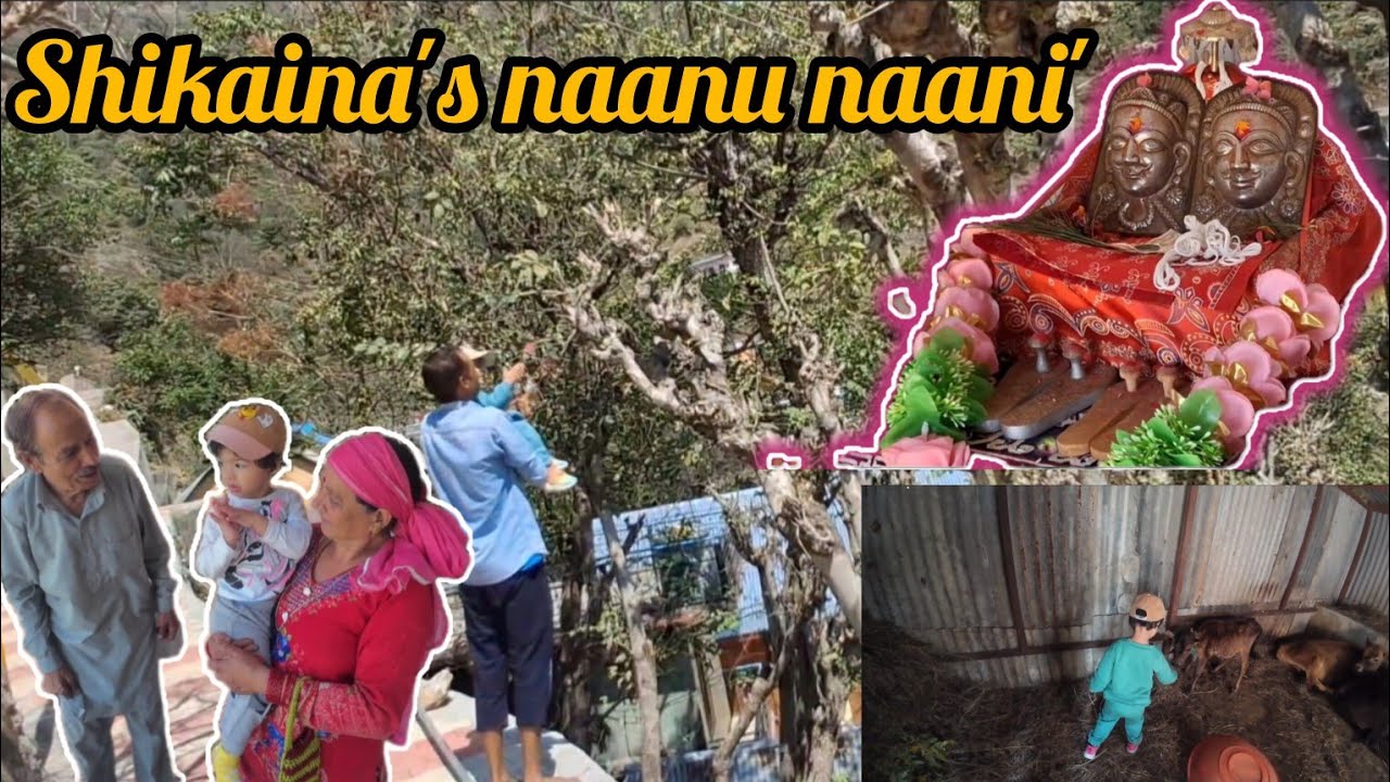 shikaina went to her naanu naani's place/vlog/daily vlogs🥰🧿 - YouTube