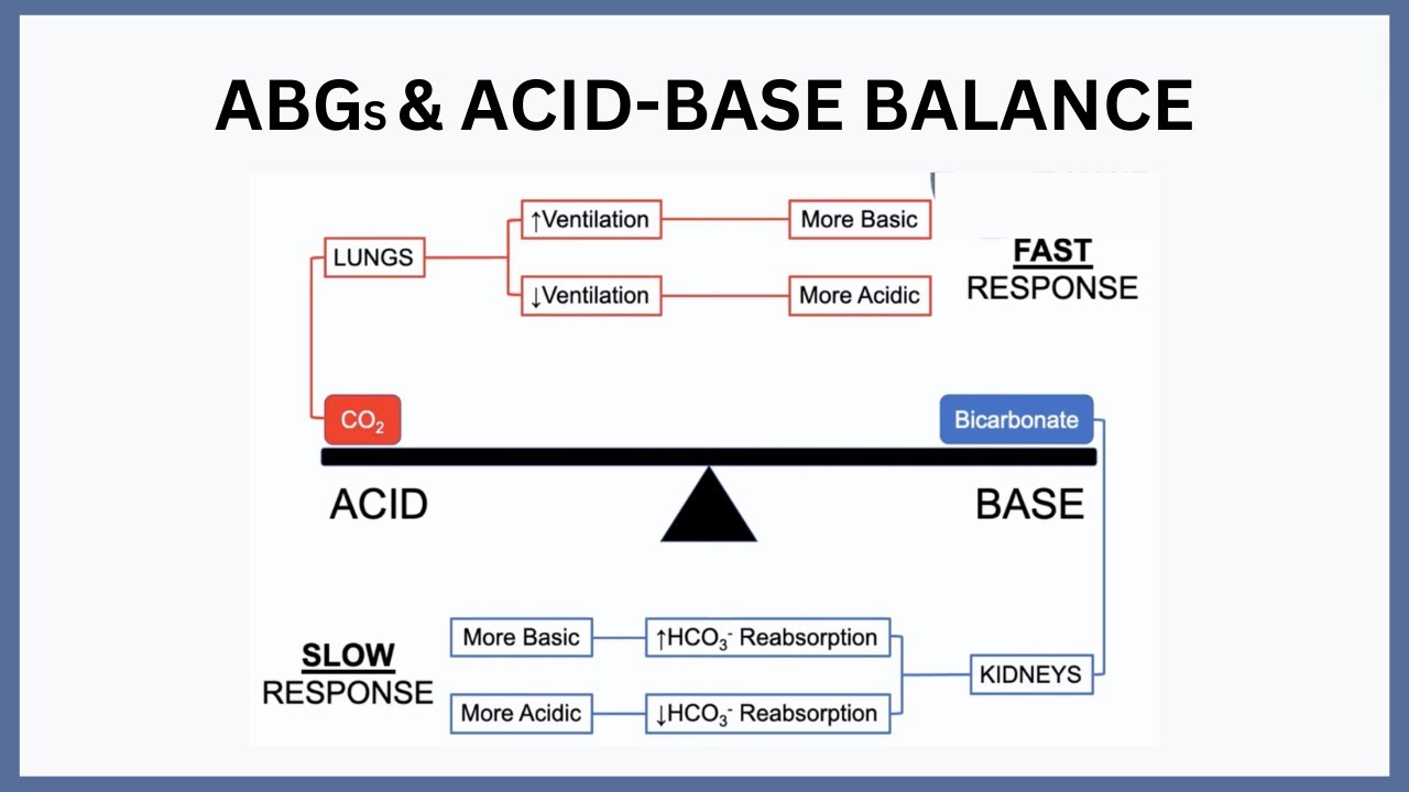 ABGs and Acid-Base Balance Explained - YouTube