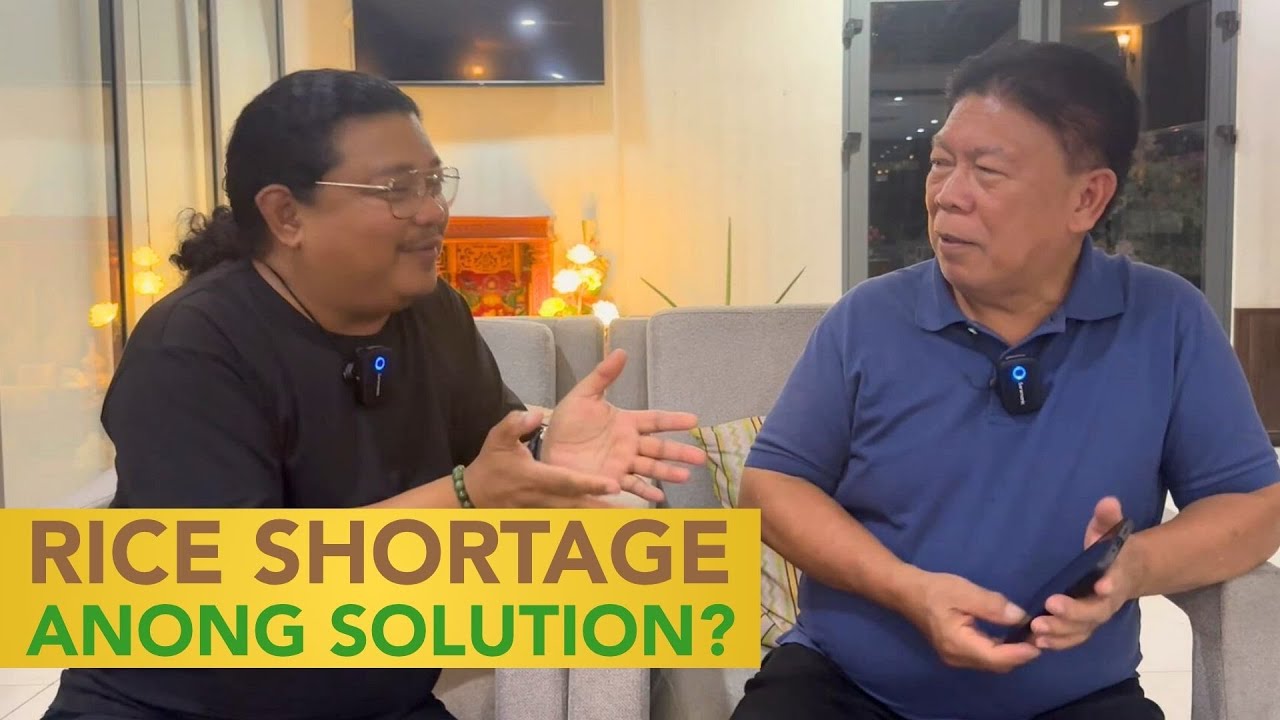 Philippines Rice Shortage: Poor Harvests, Rising Demand, Food ...