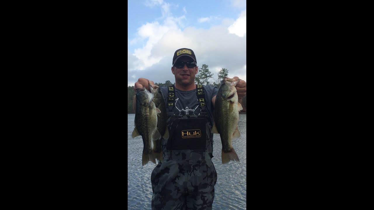 Lake Mitchell Bass Fishing. Largemouth, Spotted Bass and Stripers ...