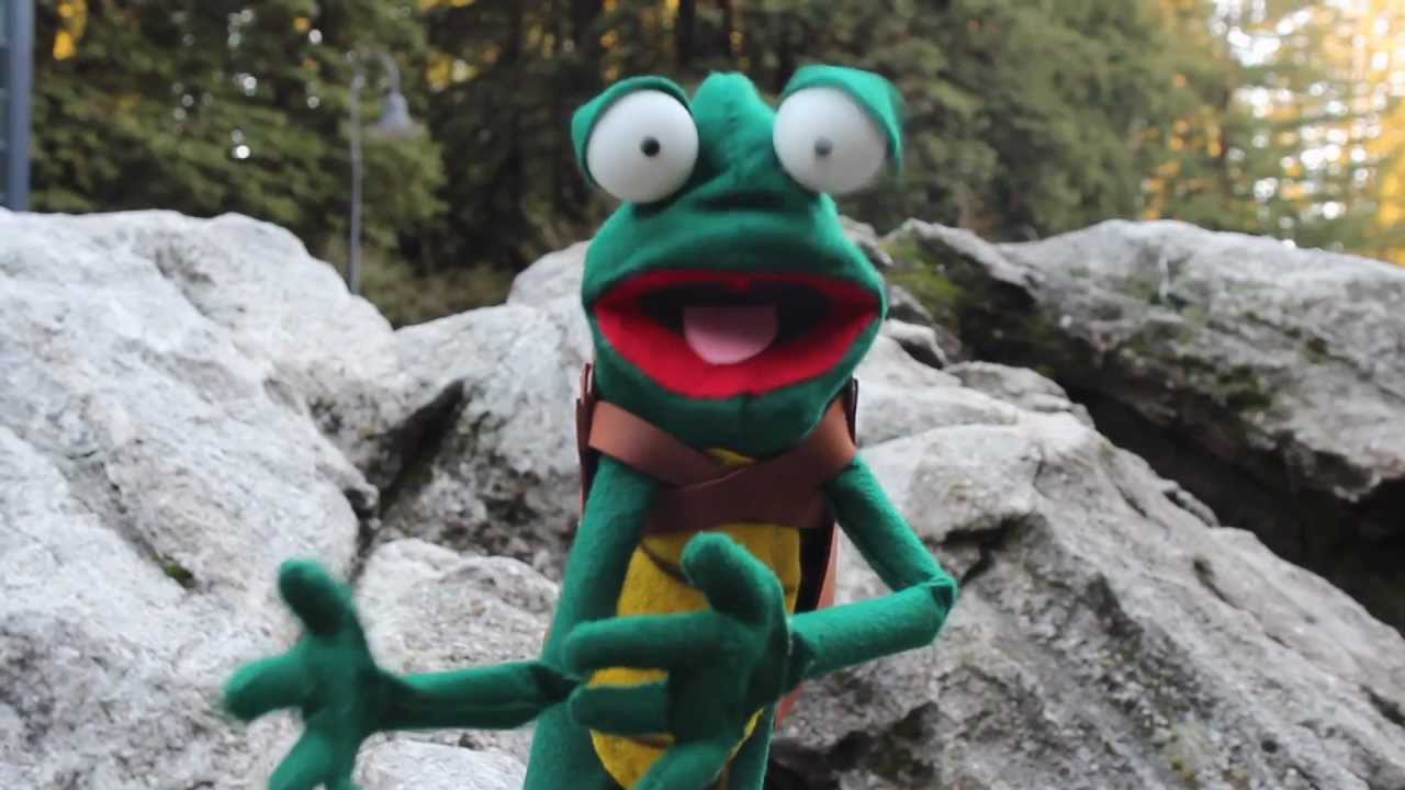 Freshman Timmy the Timid Turtle - YouTube