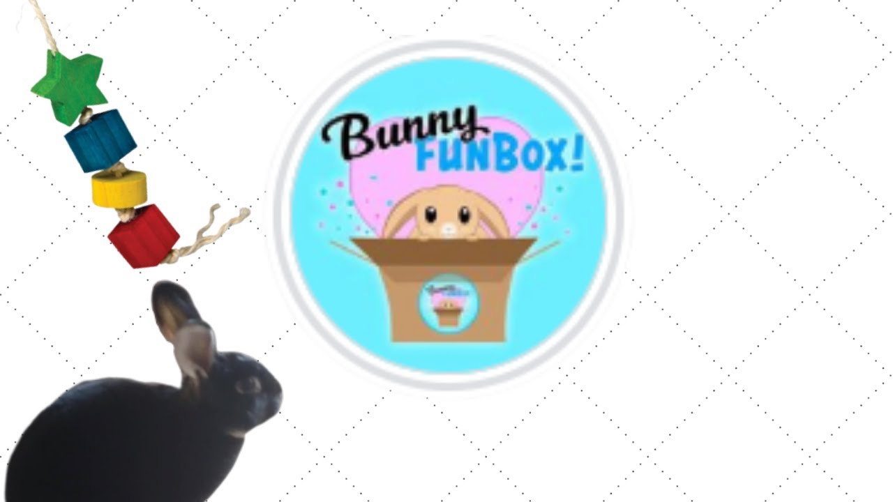 BUNNY FUNBOX SUBSCRIPTION BOX UNBOXING - YouTube