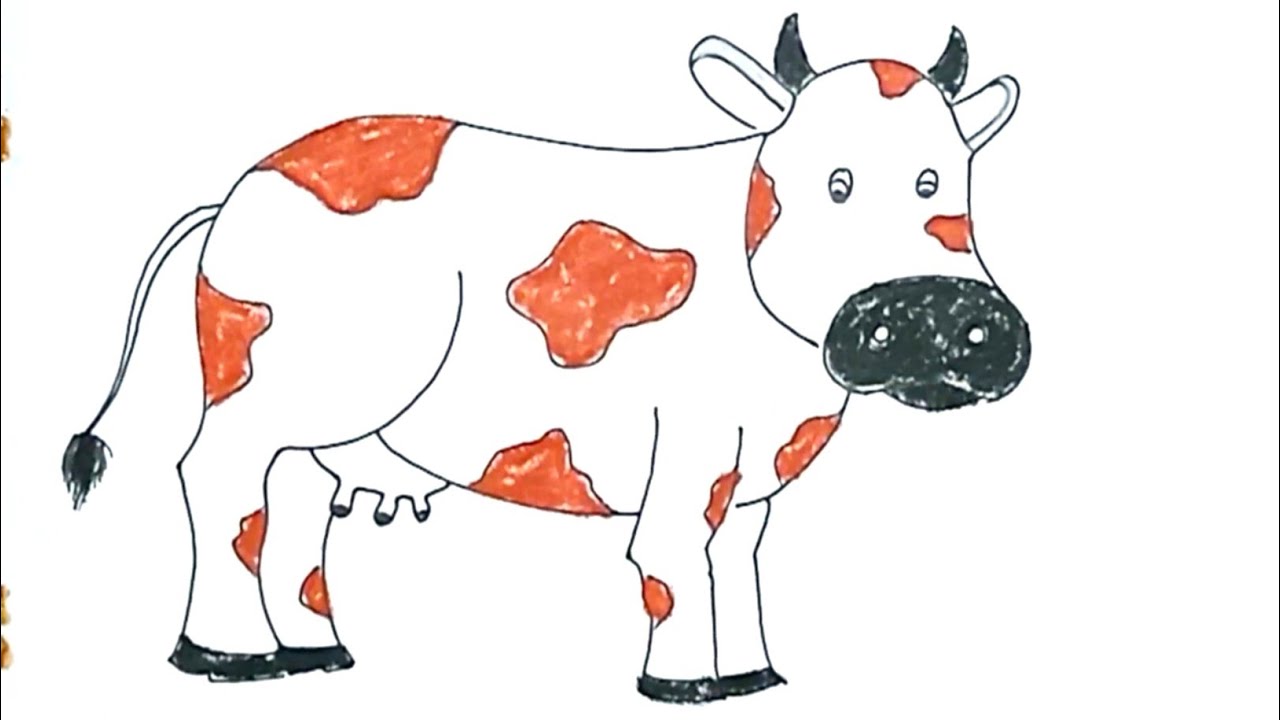 How to draw a Cow/ Easy Cow drawing / animals drawing - YouTube