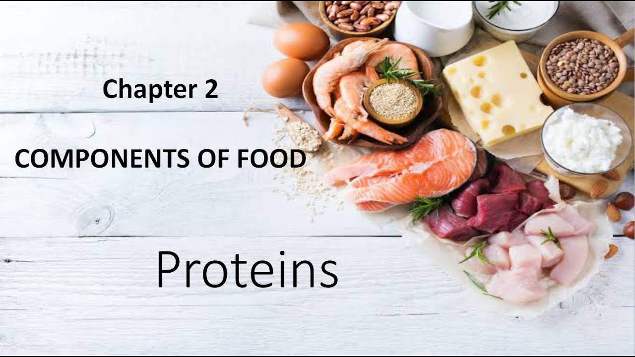 Proteins | Ch-2 Components of food | Science | Class 6 - YouTube