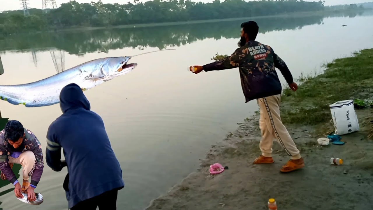 নদীতে মুরগির ফেডি দিয়ে বোয়াল মাছ শিকার||Boal fish has been caught ...