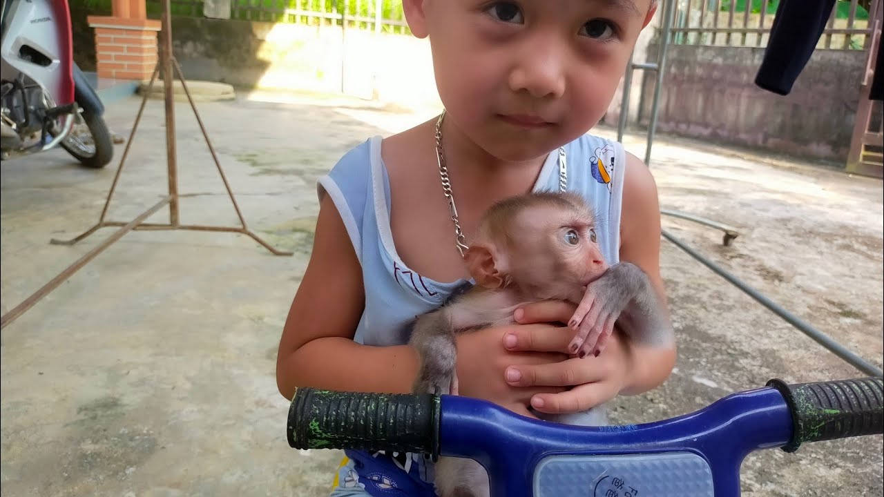 Monkey Xuka was taken for a bike ride by baby Bi. - YouTube