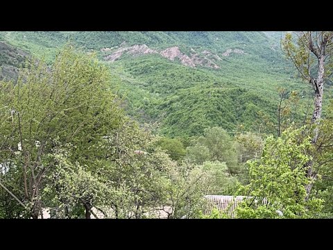 Qaraqaya kendi