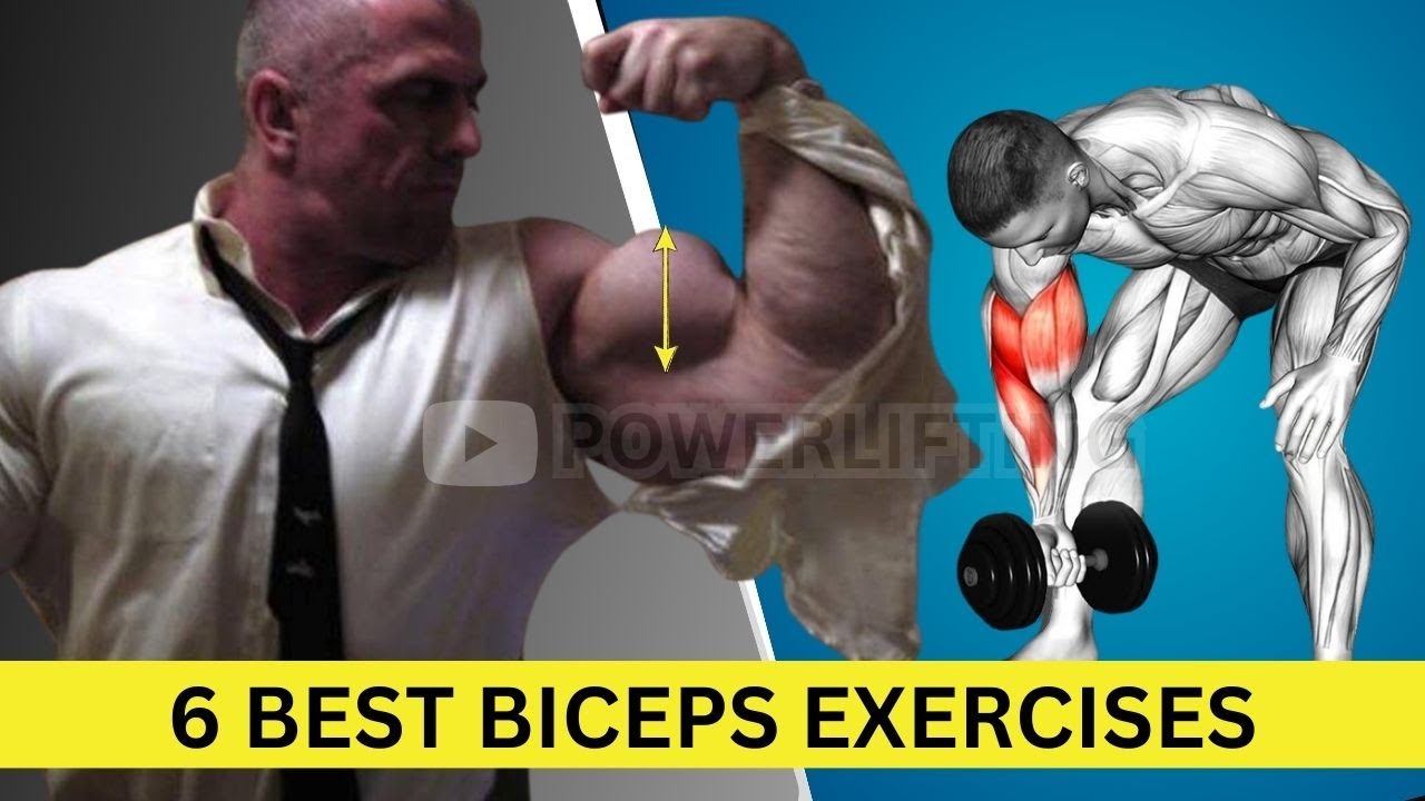 How to Grow Bigger Biceps (6 Effective Exercises) - Biceps Workout at ...