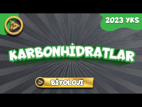 TYT Biyoloji- Karbonhidratlar I 2023 YKS