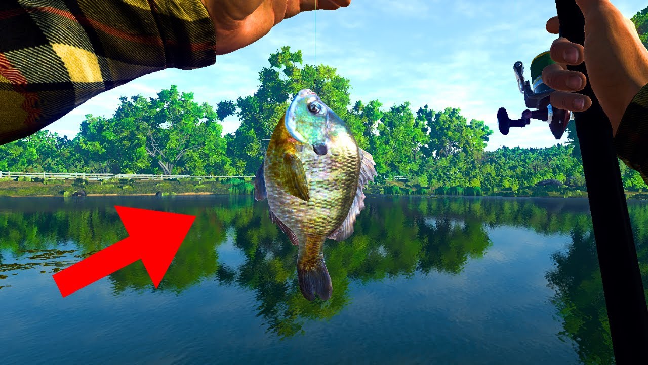 I keep catching these stupid fish in Fishing Planet - YouTube
