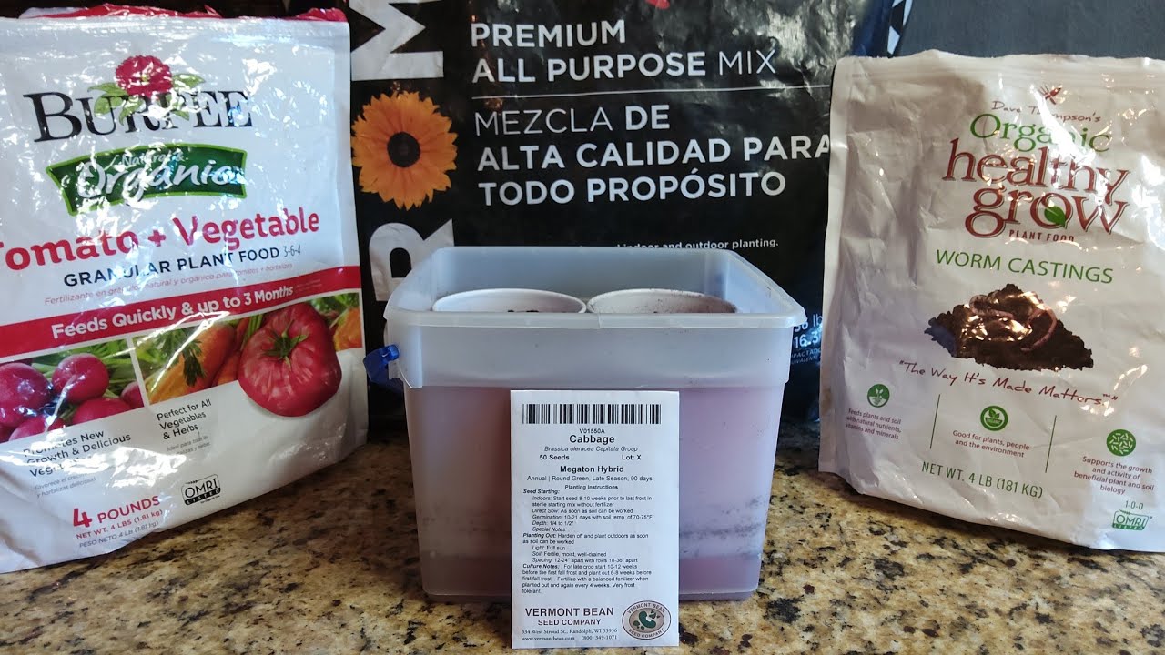 Planting Megaton Hybrid Cabbage Seeds 3/5/23 - YouTube