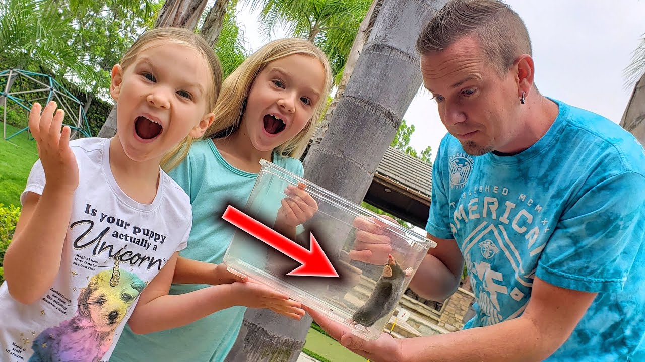 We Rescued a Mole Rat From The Pool! New Pet? - YouTube