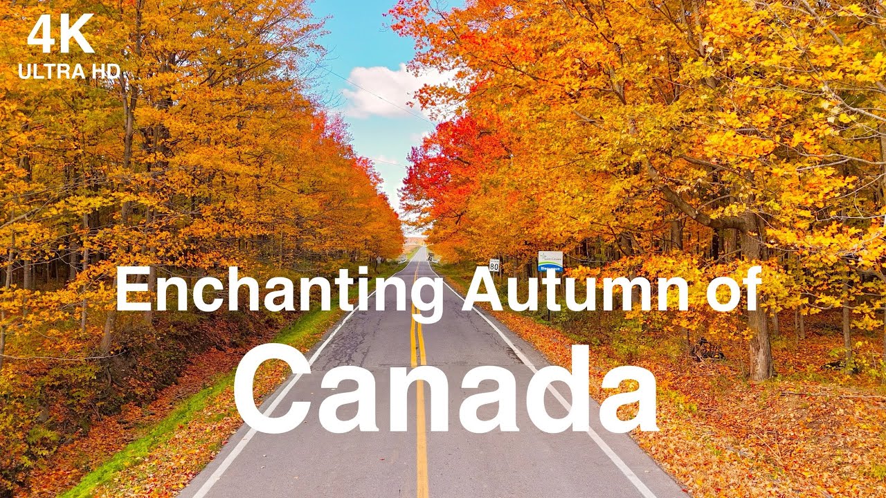 Enchanting Autumn Landscapes of Canada | Ultimate Relaxation & Scenic ...