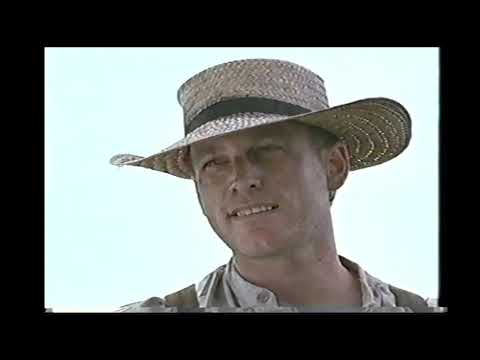 Opening To Lady And The Tramp 1998 VHS