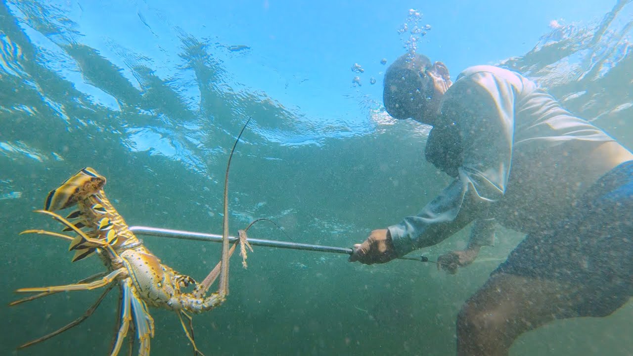 National Fishermen Cooperative of Belize - YouTube