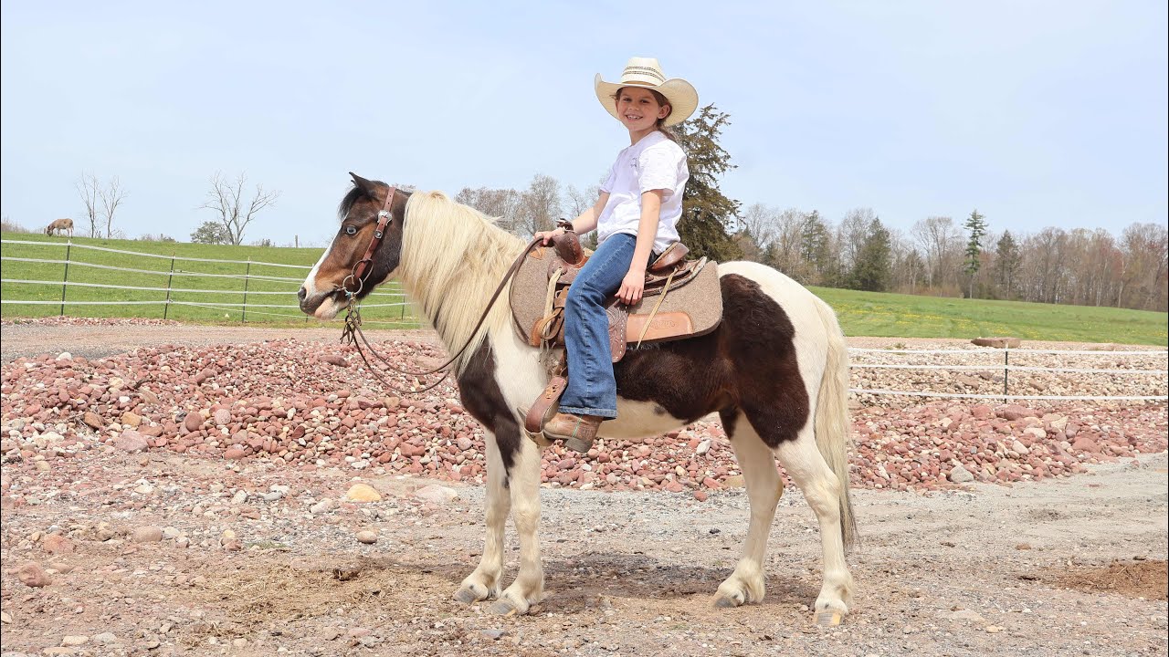 Pepsi | 6 YRO | 10.3 HH | Paint Gelding - YouTube