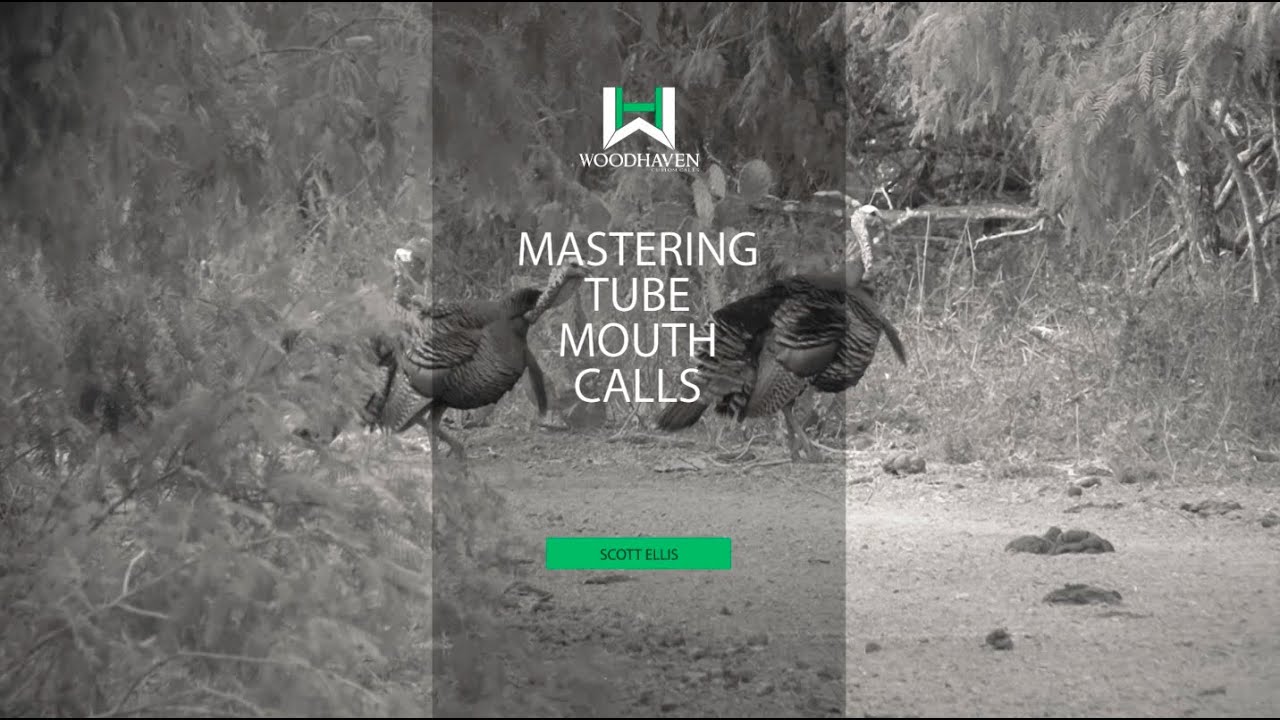 Mastering Tube Mouth Calls - YouTube