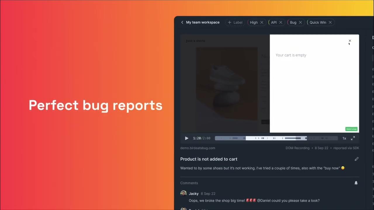 Bird Eats Bug: Report bugs. Create tests. Really fast. - YouTube