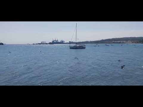 İstanbul, Deniz manzarası,doğa video