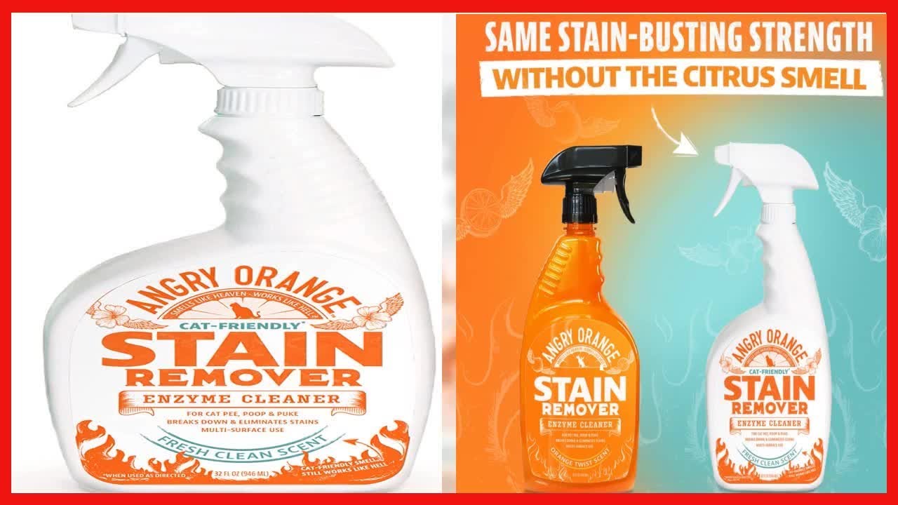 Angry Orange Cat Urine Odor Eliminator & Pet Stain Remover - YouTube