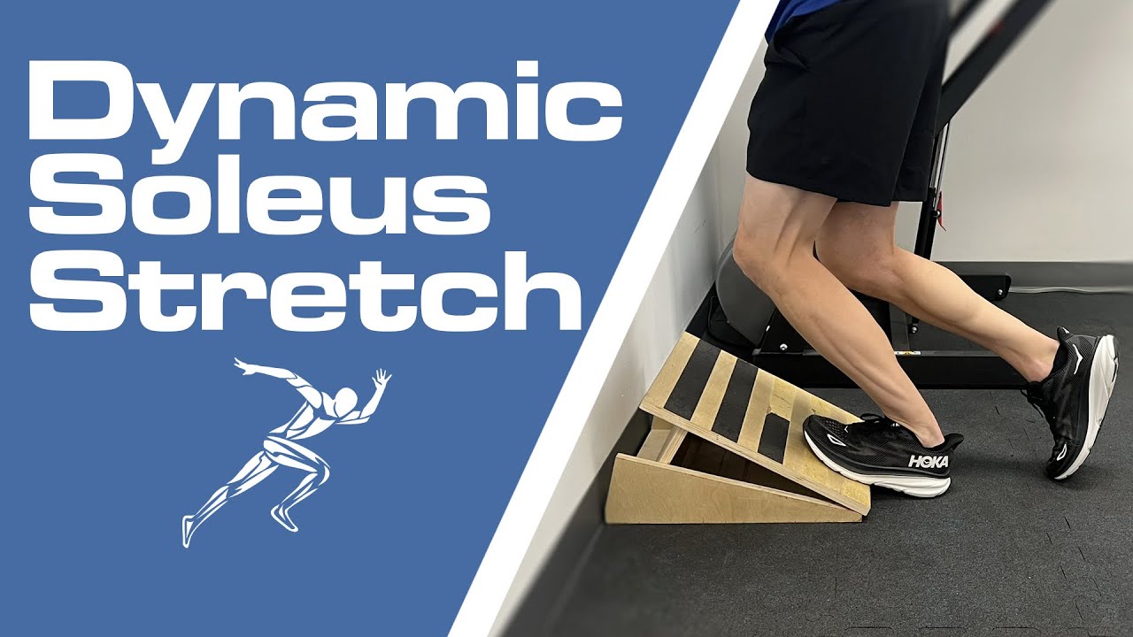 Dynamic Soleus Stretch | Calf Exercises | Elite Performance Institute