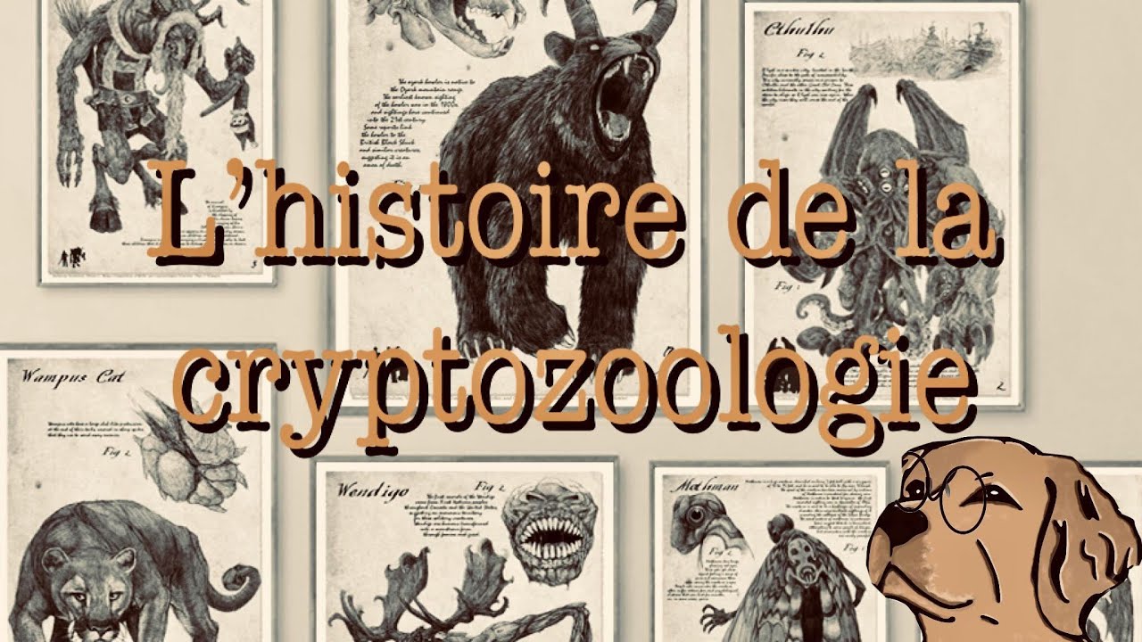 L'histoire de la cryptozoologie 🦑🦄🐉 - YouTube
