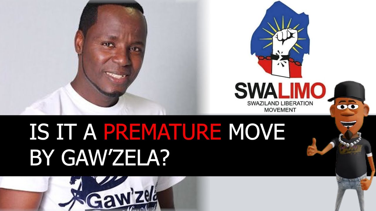 Too many views about SWALIMO | What I personally think this means ...