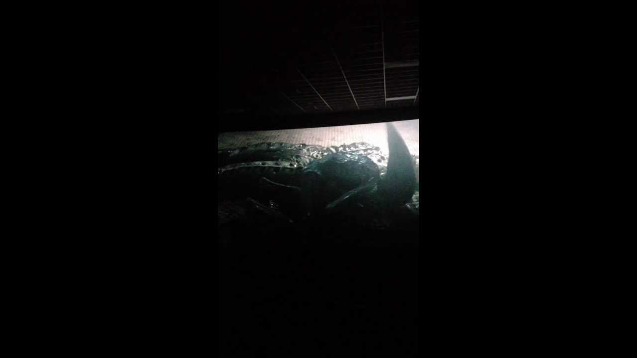 Prometheus Deacon Alien ending - YouTube