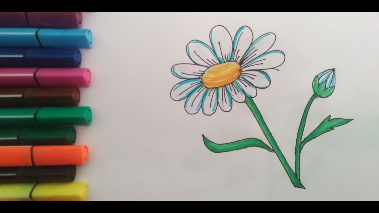 КАК НАРИСОВАТЬ РОМАШКУ/HOW TO DRAW CHAMOMILE/CHINNIGUL RASM CHIZISH ...