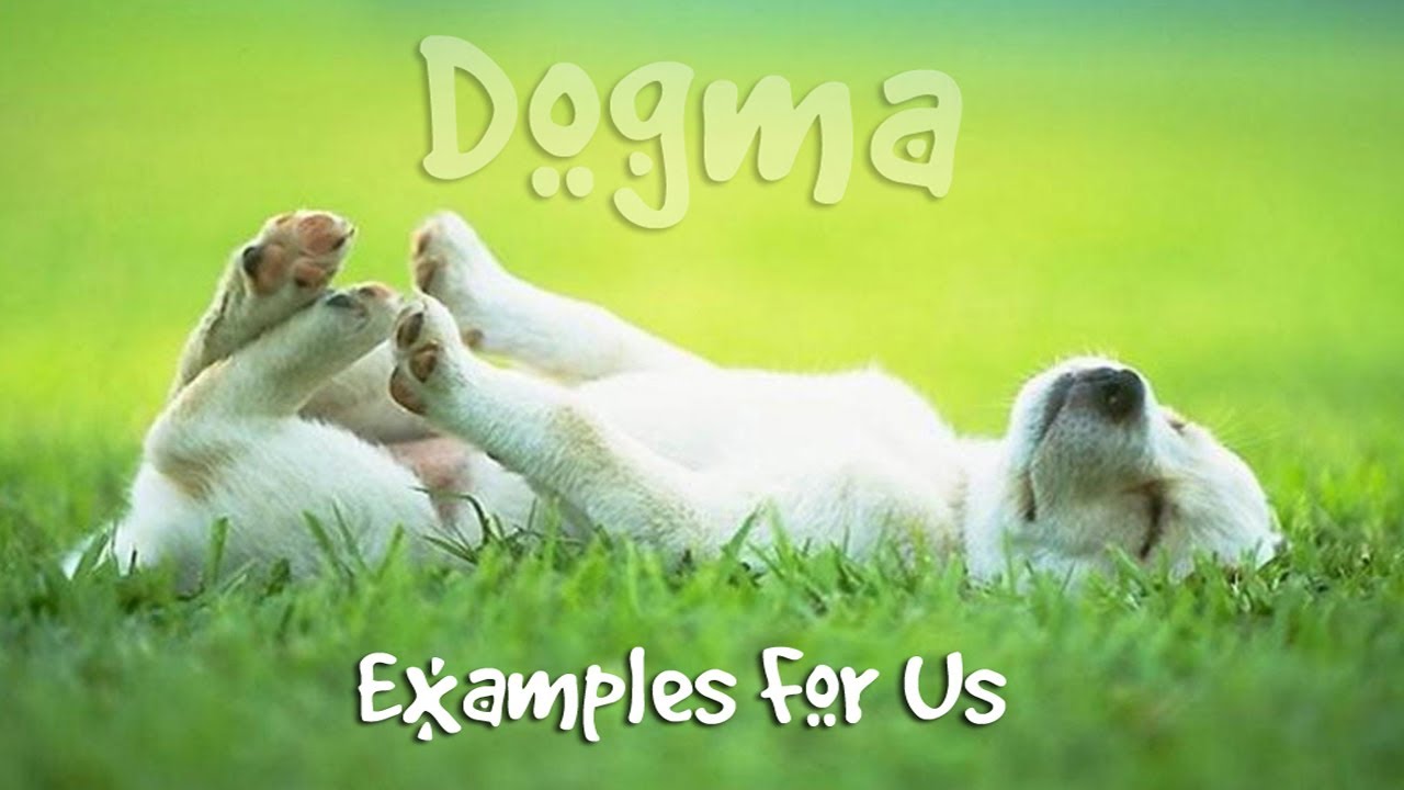 DOGMA Pt 2 Examples For Us 8 24 13 message - YouTube