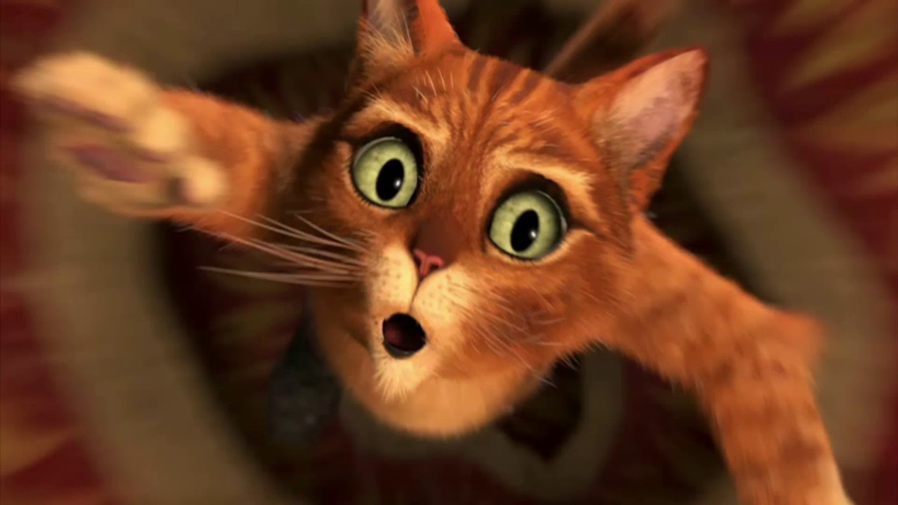 FanDub Gato y Burro - LE - YouTube