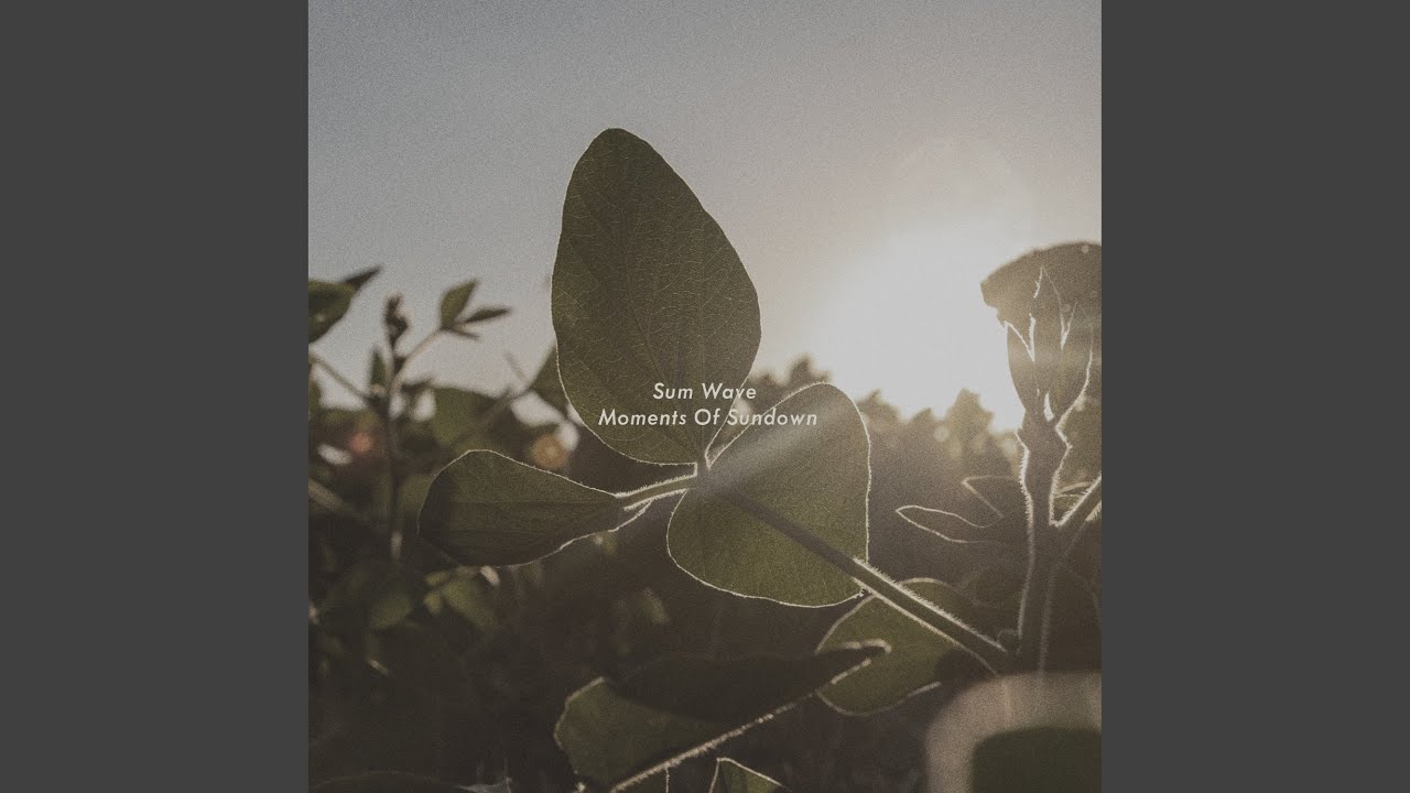 Organico - YouTube Music
