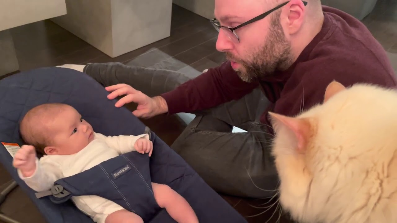 Luna's Babbling [Day 4] Let's GO - YouTube