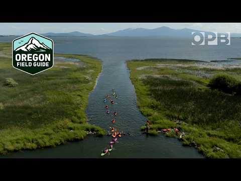 First Descent: Kayaking the Klamath River after the largest dam removal in U.S. history