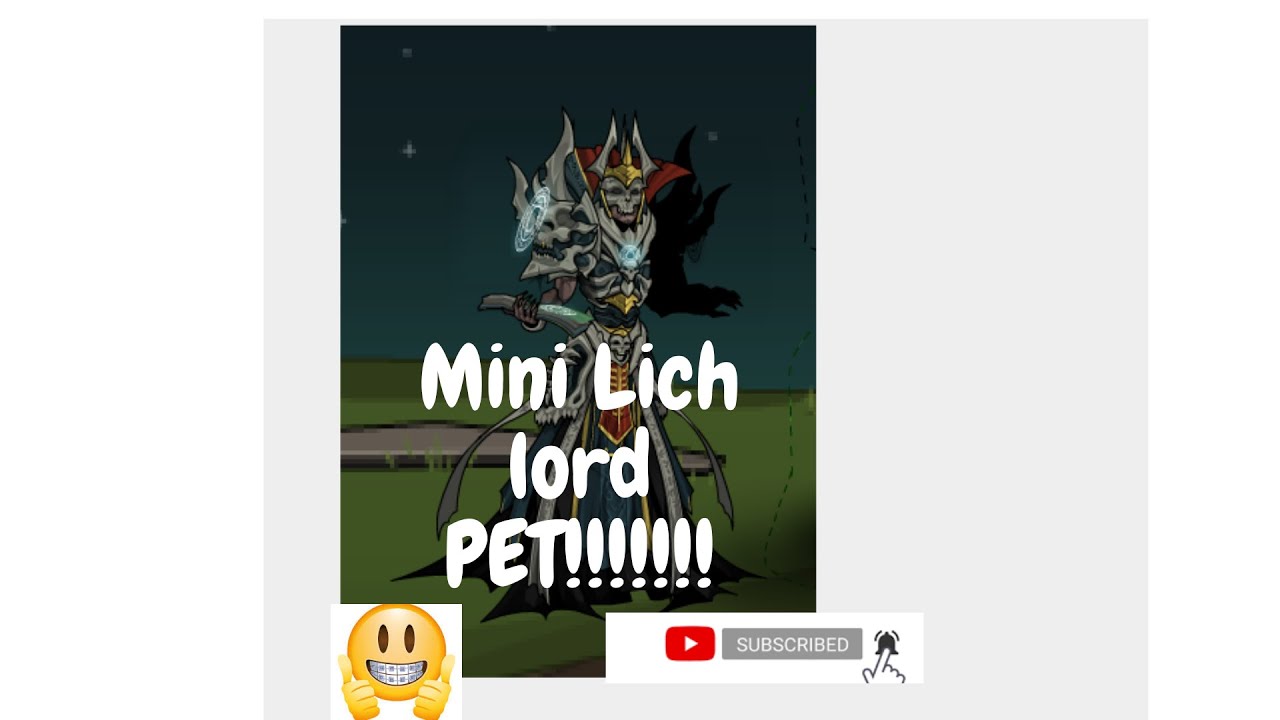 HOW TO GET "MINI LICH LORD PET"!!!! IN [AQW] - YouTube