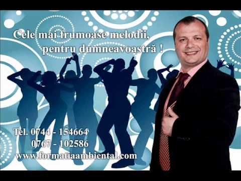 Adi Mircea Formatia Ambiental Alba Iulia - Colaj rock and roll Alba ...