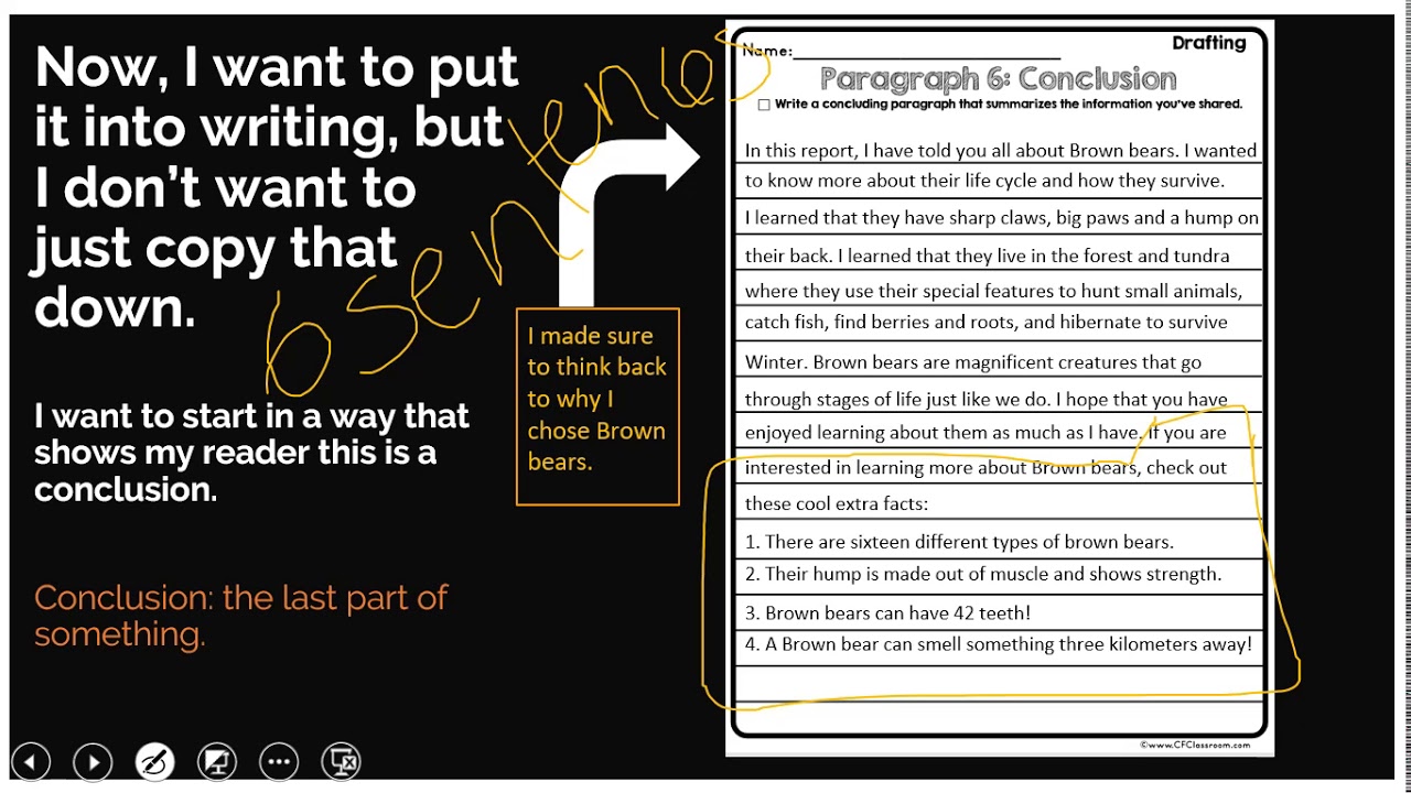 Animal Report Conclusion - YouTube